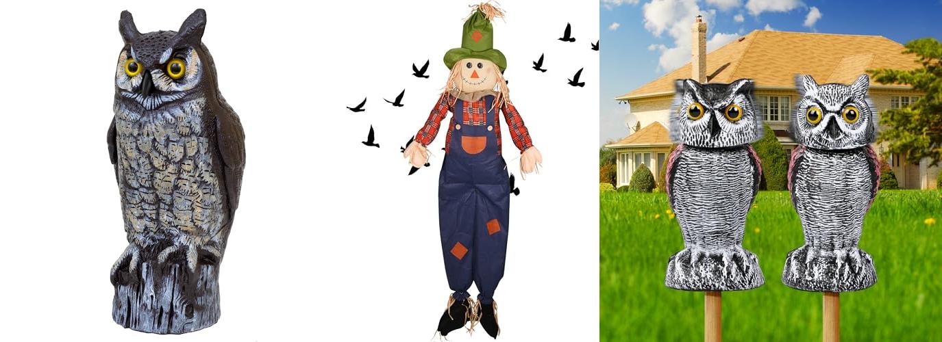 Top 5 Garden Scarecrows: Protect Your Plants in Style!