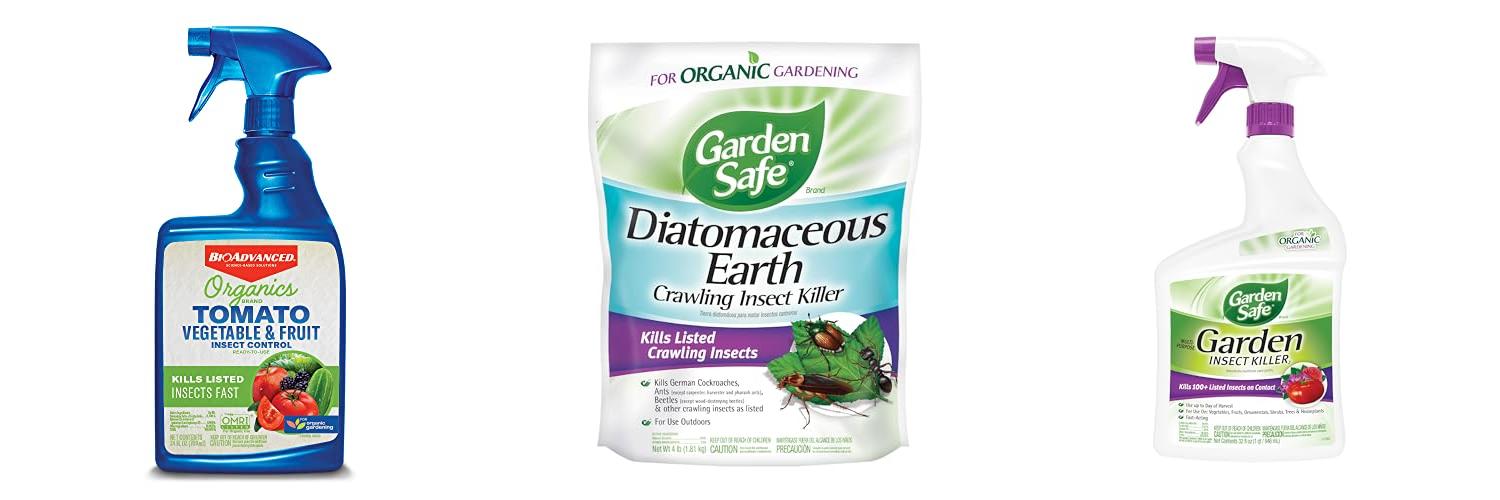 5 Best Insect Repellents For Your Garden: A Gardener's Guide