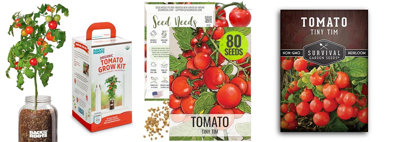 Top 5 Cherry Tomatoes to Grow Indoors: Your Growing Guide