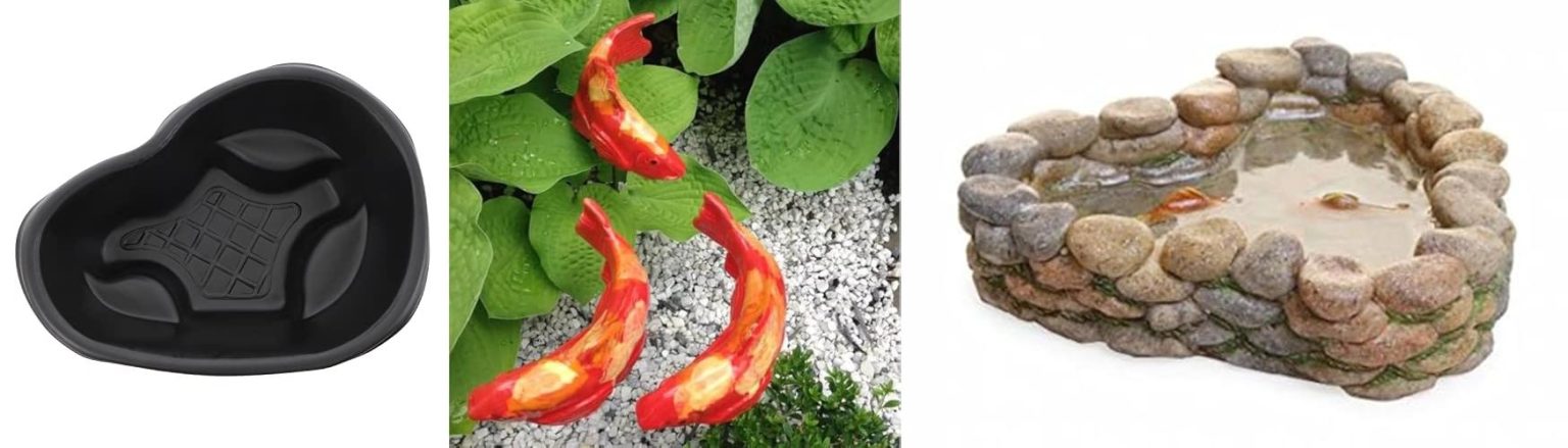 Top 5 Fish For Small Garden Ponds: A Complete Buying Guide