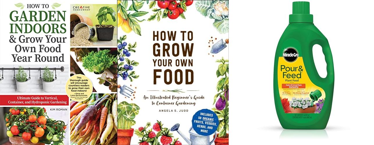 Top 5 Food To Grow Indoors: Your Complete Growing Guide