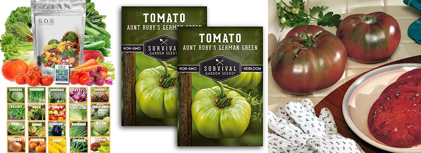 5 Best Fruits & Vegetables for Tennessee Gardens: A Review