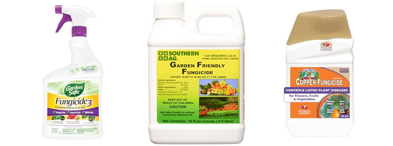 Top 5 Fungicides for Garden Soil: Review & Buying Guide