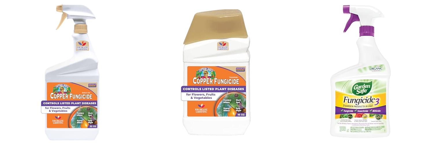 Top 5 Fungicides For Vegetable Gardens: Our Expert Review