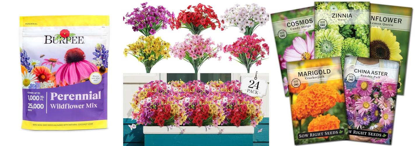 Top 5 Garden Flowers: A Beginner's Guide to Stunning Blooms