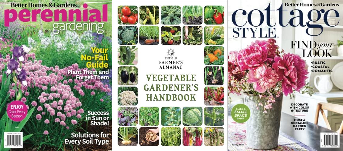 Top 5 Garden Magazines: Your Guide to Blooming Success!
