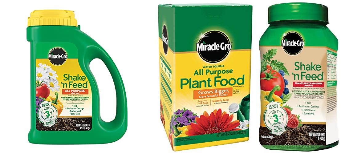 Top 5 Garden Plant Foods: Your Guide to Thriving Plants
