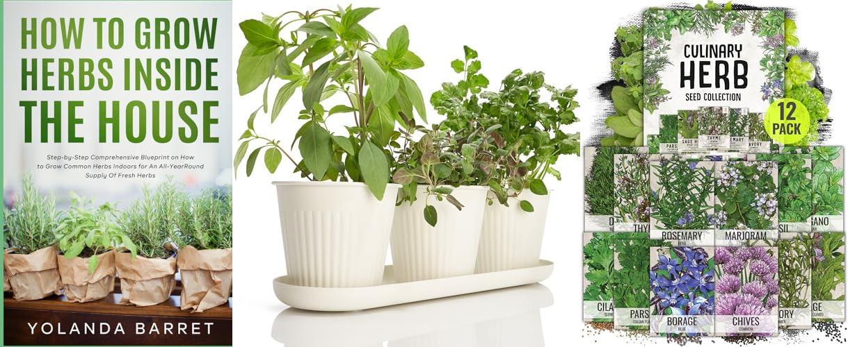 Top 5 Herbs To Grow Inside: A Beginner's Essential Guide