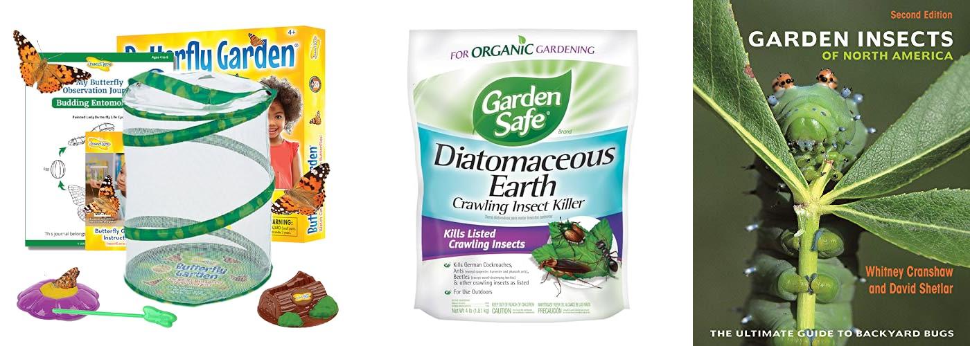 Top 5 Beneficial Insects For Your Garden: A Gardener's Guide