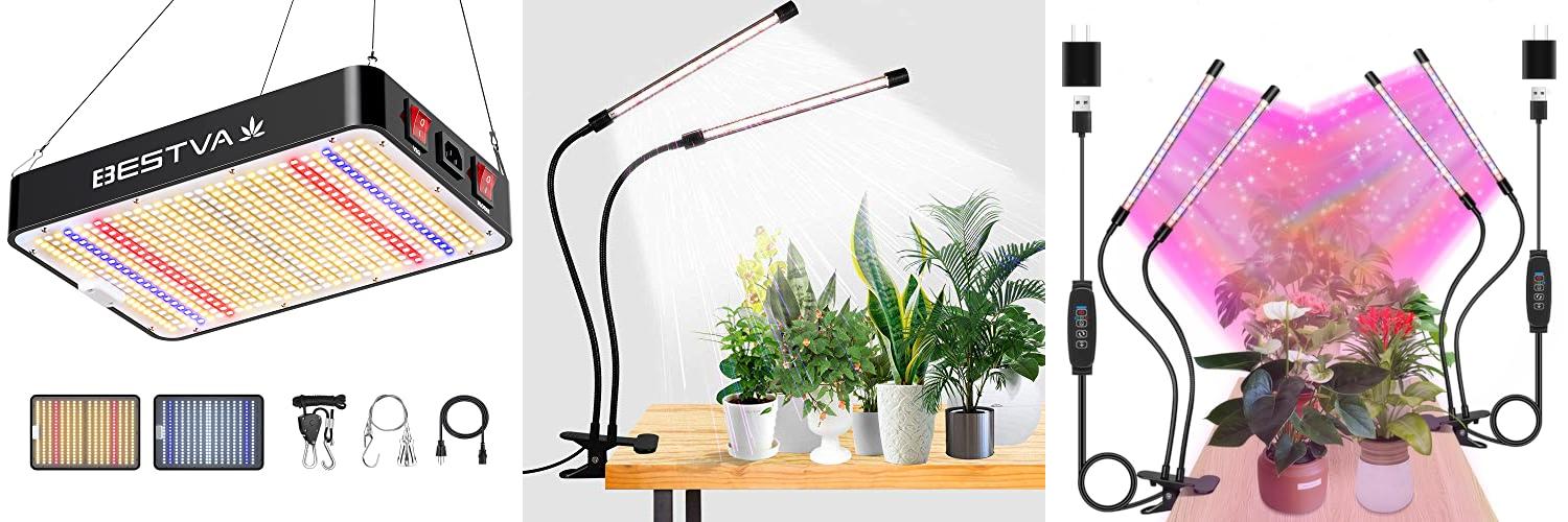 Top 5 LED Grow Lights: Your Guide to Budding Success