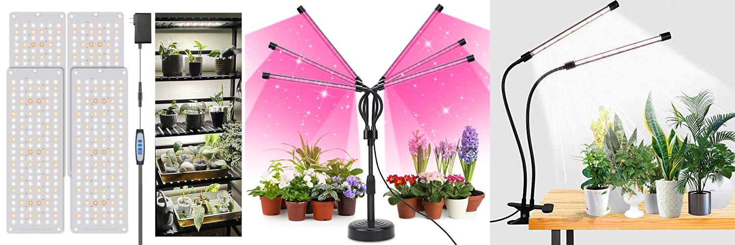 Top 5 LED Grow Lights for Starting Seeds: A Beginner's Guide