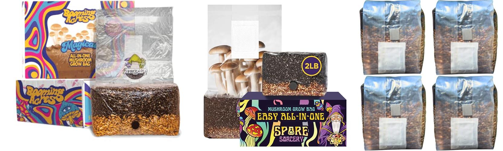 Top 5 Magic Mushroom Grow Kits: Reviews and Buying Guide