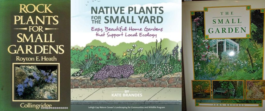 Top 5 Plants For Small Gardens: A Beginner's Planting Guide