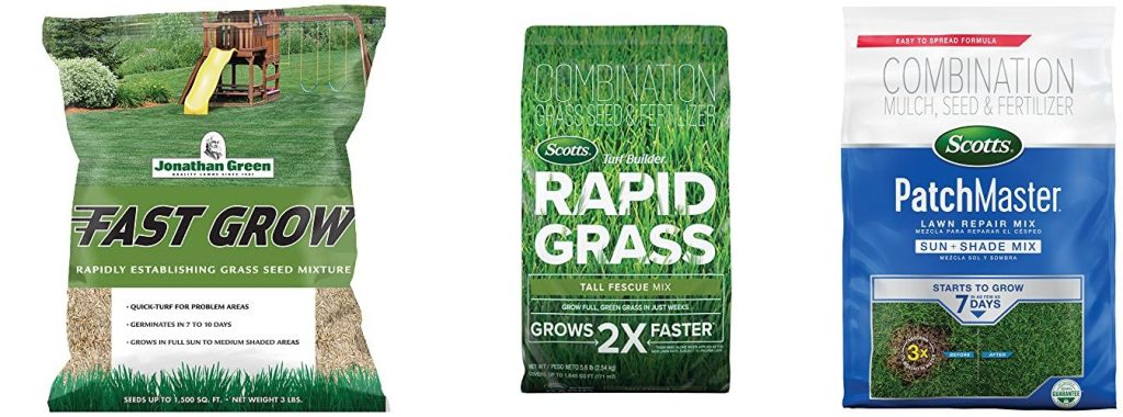 Top 5 Quick Grow Grass Seed Reviews: Fast Growth & Results