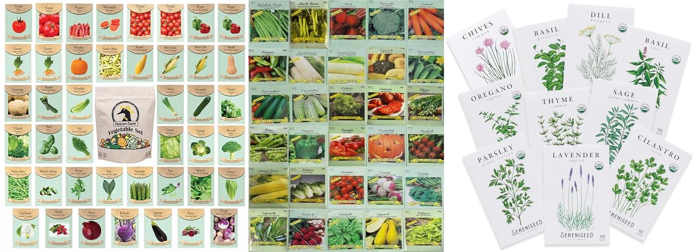 Top 5 Seed For Garden: Reviews & Expert Planting Guide