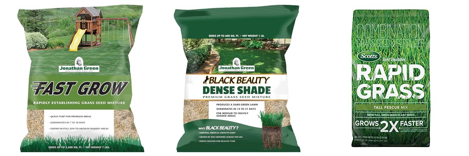 Top 5 Seed To Grow Grass Fast: Reviews & Lawn Care Guide