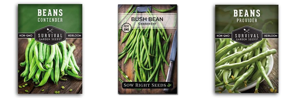 Top 5 Stringless Green Beans To Grow: A Gardener's Review & Guide