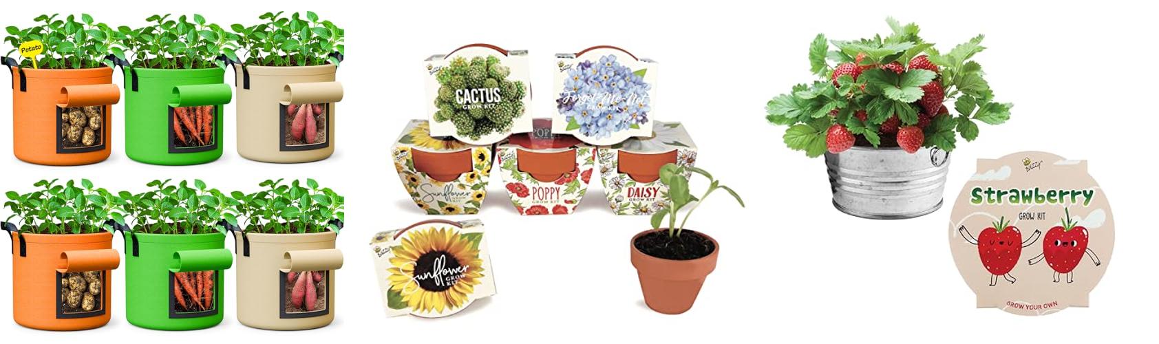 Top 5 Things To Grow For Beginners: A Simple Guide & Review