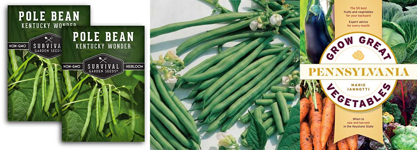 Top 5 Vegetables to Grow in Kentucky: A Gardener's Guide