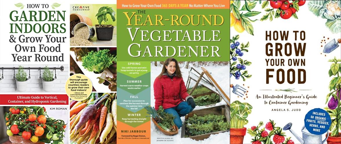 Top 5 Vegetables To Grow Indoors: A Gardener's Buying Guide.